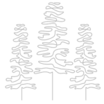 Dr Nathalie Acher • PNW Family Medicine • Bellevue, WA